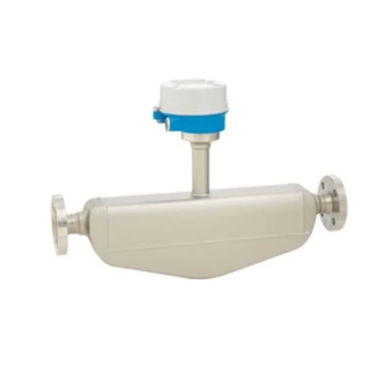 Endress+Hauser Proline Promass P300 Coriolis Flowmeter – ANTLETS