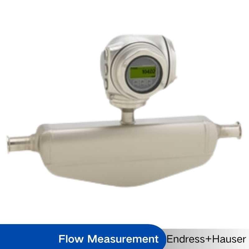 Endress+Hauser Proline Promass P300 Coriolis Flowmeter – ANTLETS