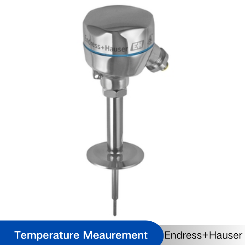 Endress+Hauser iTHERM TM401 Modular RTD Thermometer - basic Technology ...